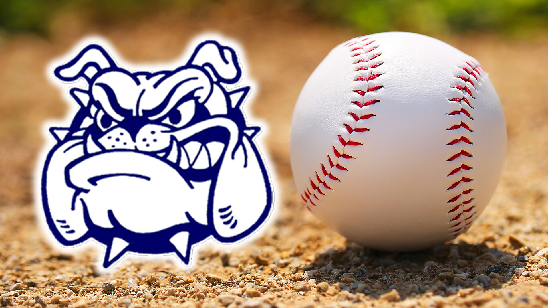 Poland tops Lakeview in ‘Battle of Bulldogs’ | Local Sports | wfmj.com