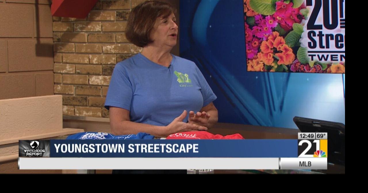 Youngstown Streetscape | News | wfmj.com
