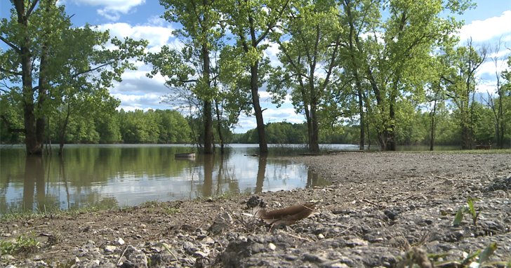 'Lions Give a DAM' 5k run announced, only way to travel across the ...
