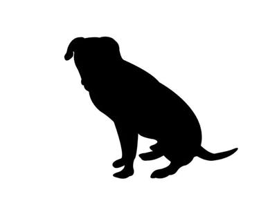 Warren Township pair plead not guilty in dog’s death; waived to grand ...