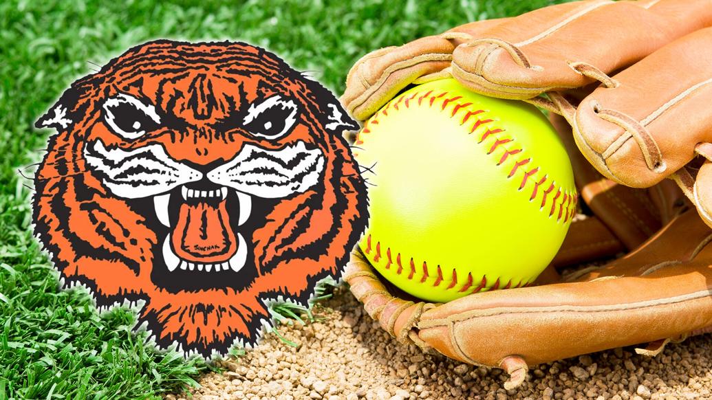 Lance helps Newton Falls roll by Campbell in sectional final | Local ...