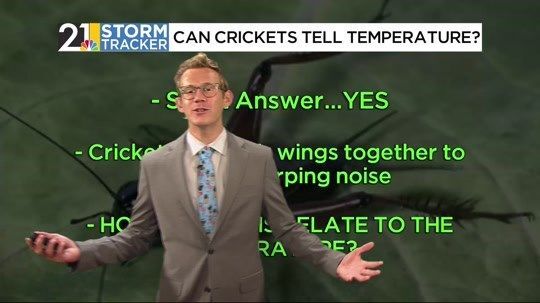 Weather 101: Can crickets act as a thermometer? | Archives | wfmj.com