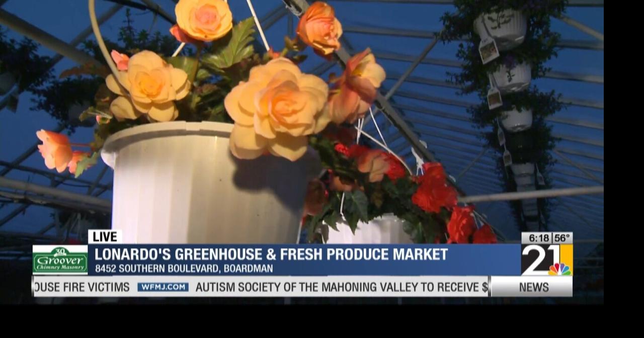 We stepped inside Lonardo's Greenhouse to check out their selection for ...