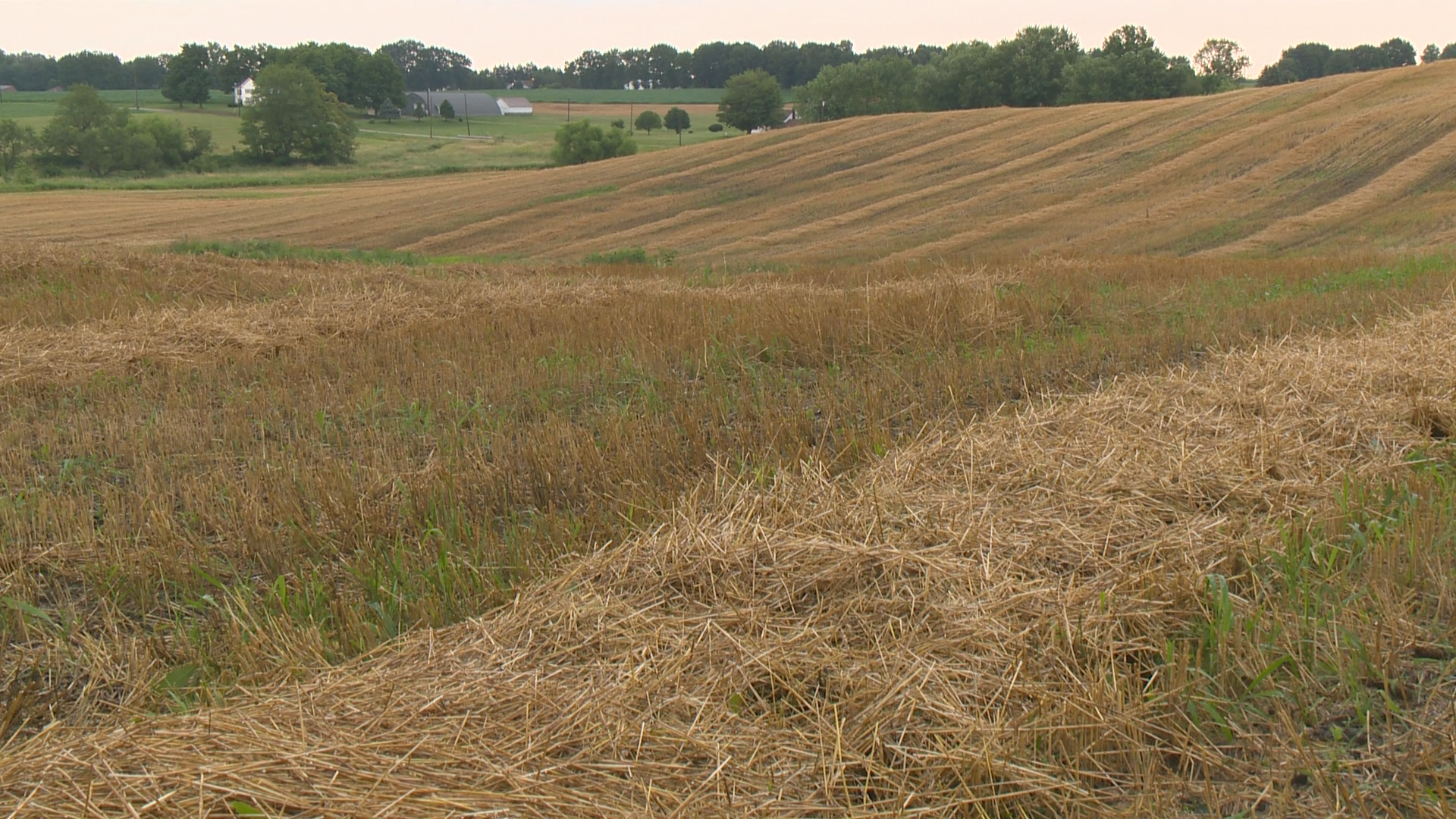Cheeseman Farm announces 2026 summer, early fall event schedule | Local ...