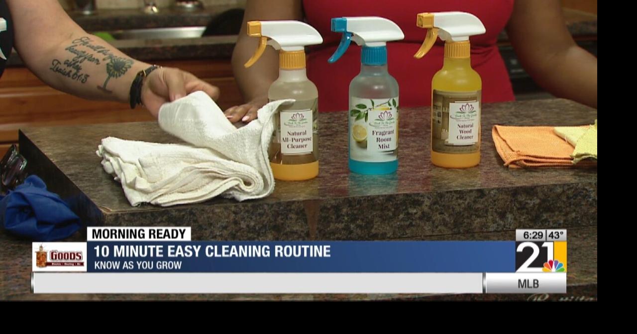 10-Minute Easy Cleaning Routine with Back to the Garden Cleaning | News ...