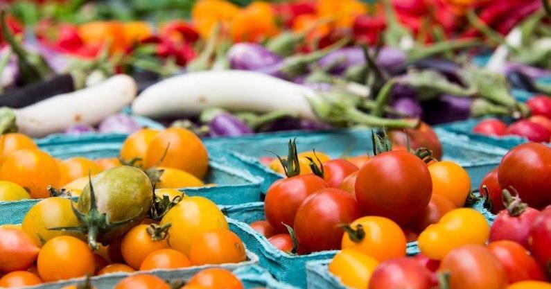 Austintown Farmers Market moving to Wednesdays | Archives | wfmj.com