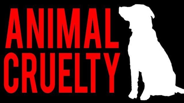 Cutrona introduces legislation to increase penalties in animal cruelty ...