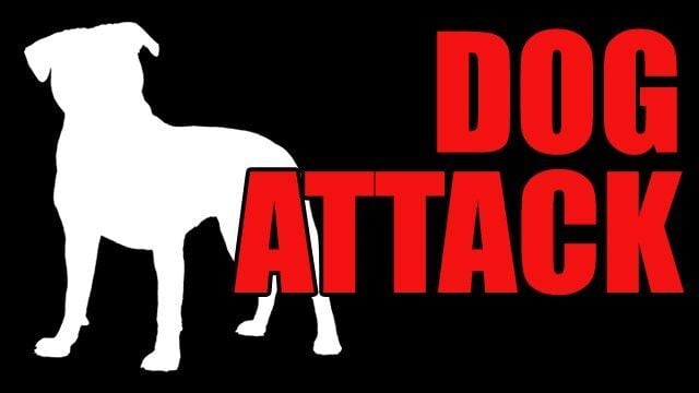 Negley woman charged in connection with dog attack | Local News | wfmj.com