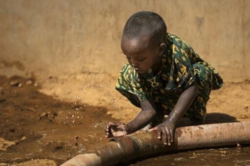 'Our children are next' fear Kenyans as drought wipes out livestock ...