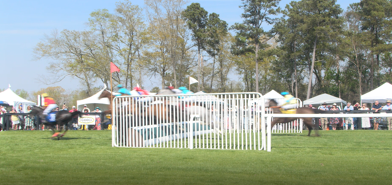 Aiken spring steeplechase draws in crowd of over 30,000 | News | wfxg.com
