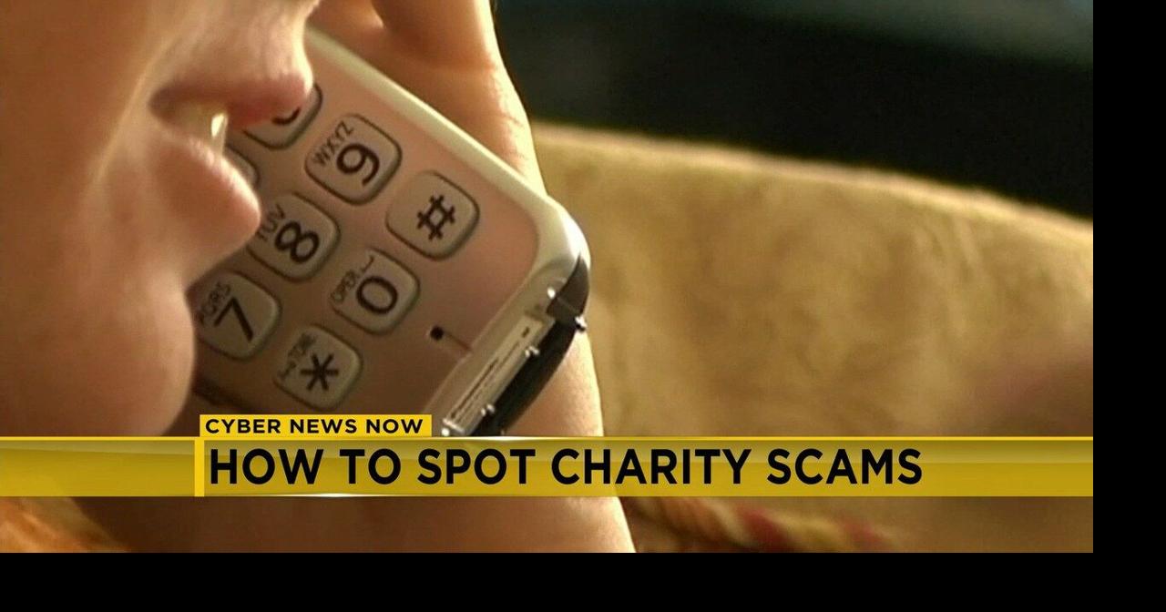 Charity scams: how to protect yourself against fraud after Hurricane ...