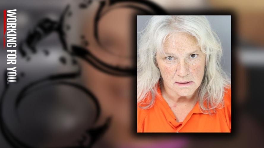 Susan Rhodes arrested months after hit-and-run; more details released ...