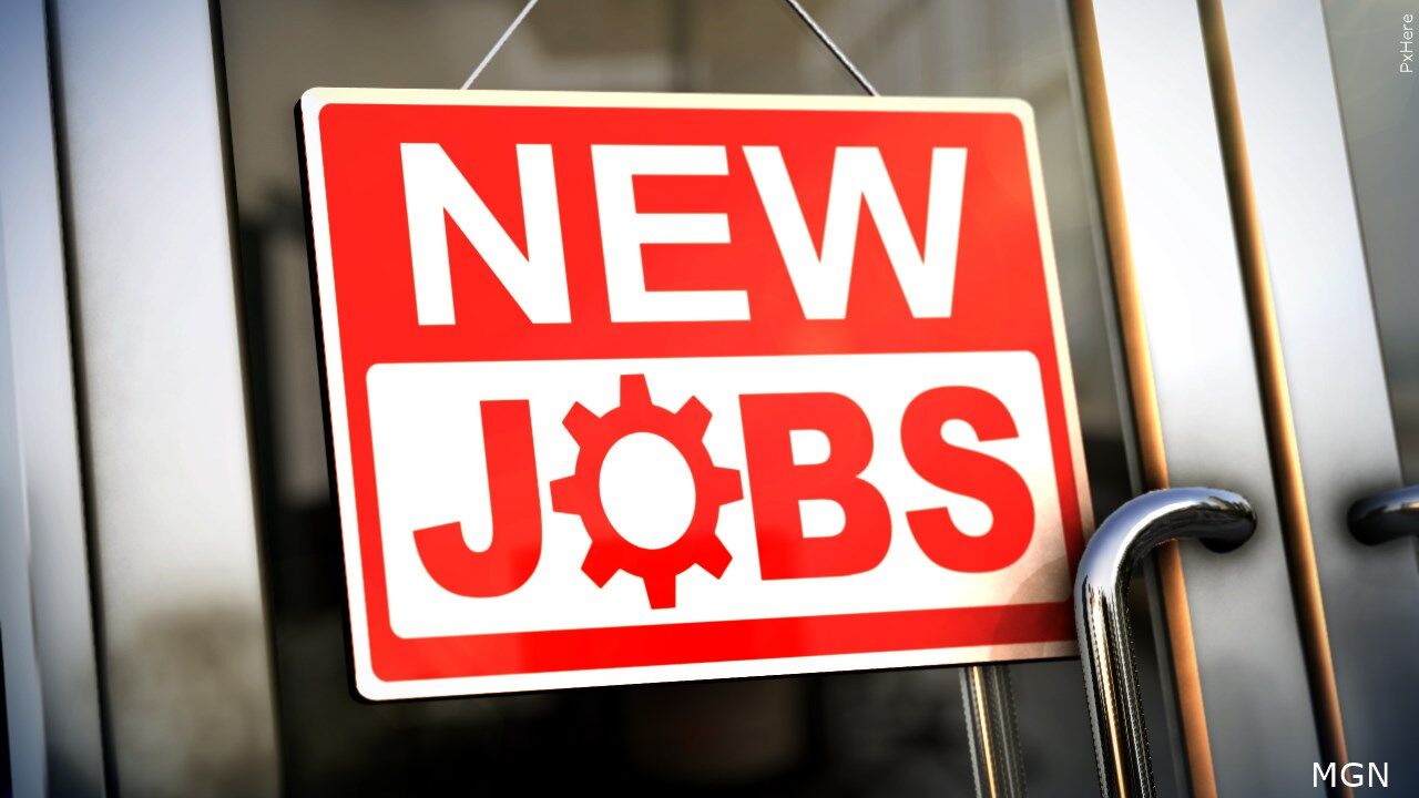 Emanuel County getting 200 new jobs | News | wfxg.com