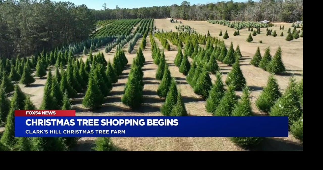 Clarks Hill Christmas Tree Farm brings holiday cheer to the CSRA ...