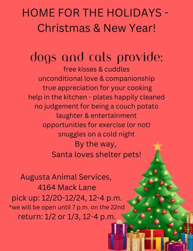 Augusta Animal Services seeks holiday homes for pets | Community | wfxg.com