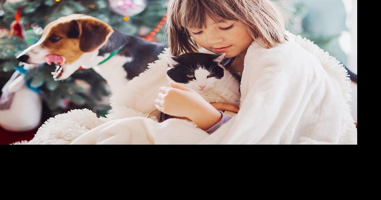 Augusta Animal Services seeks holiday homes for pets | Community | wfxg.com