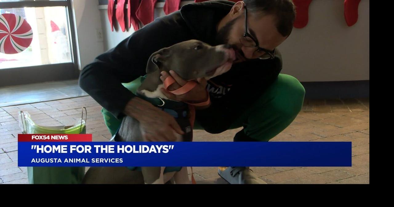 Augusta Animal Shelter Hosts Holiday Pet Program | Your Trusted Source ...