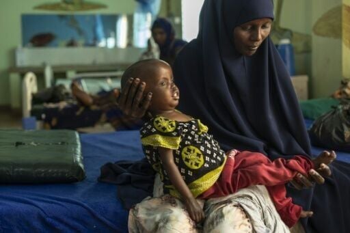 'Our children are next' fear Kenyans as drought wipes out livestock ...