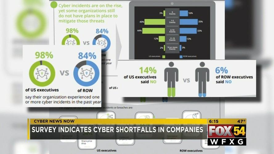 Cyber News Now: Survey indicates some cyber security shortfalls in US ...