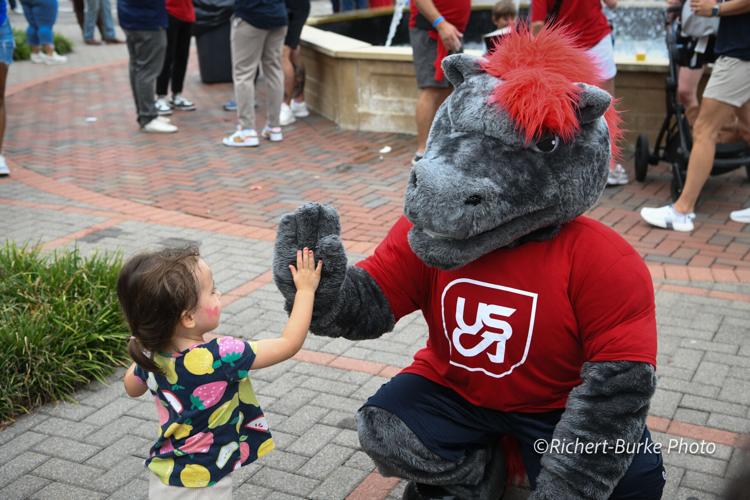 USC Aiken launches new brand identity | Your Trusted Source for Augusta ...