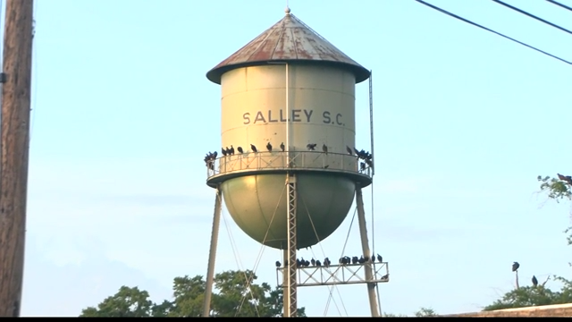 South Carolina News | wfxg.com