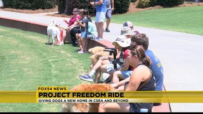 Project Freedom Ride host a special day for dogs | News | wfxg.com