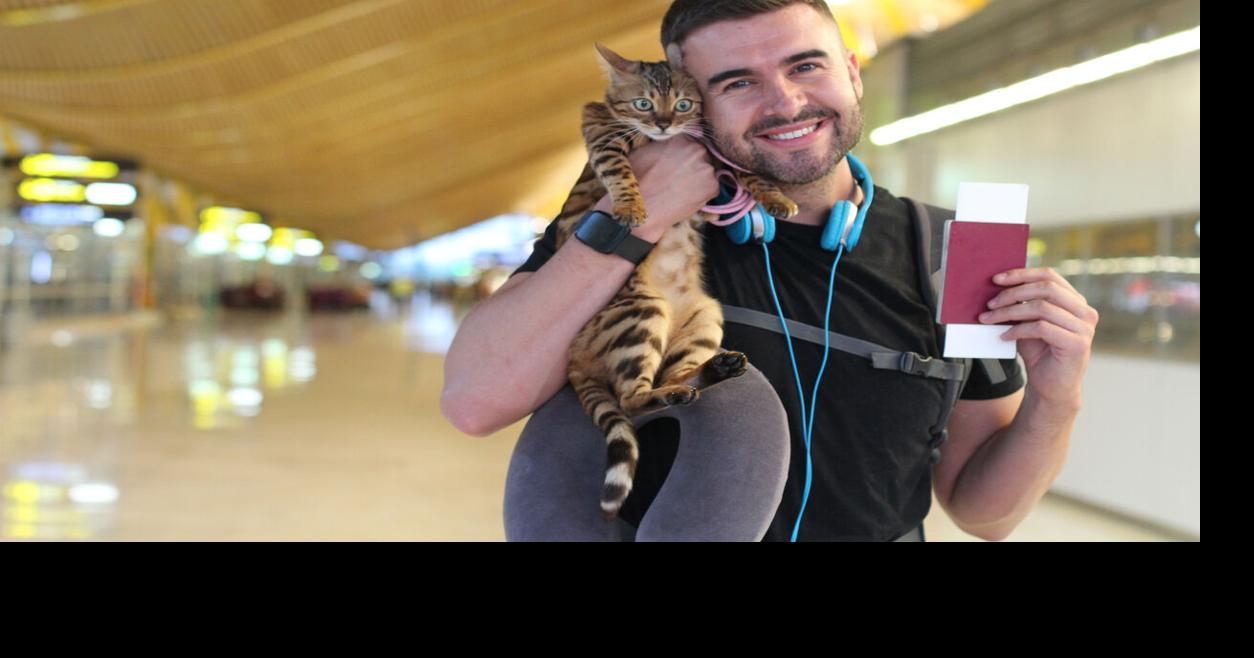 Riding the rails? Take your furry sidekick along! | Pets | whiskers101.com