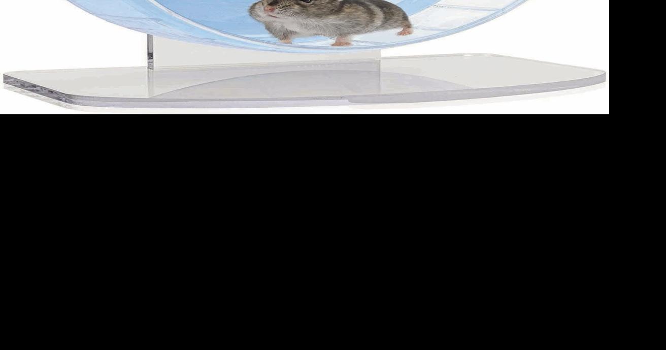 3 hamster wheels to consider | | whiskers101.com