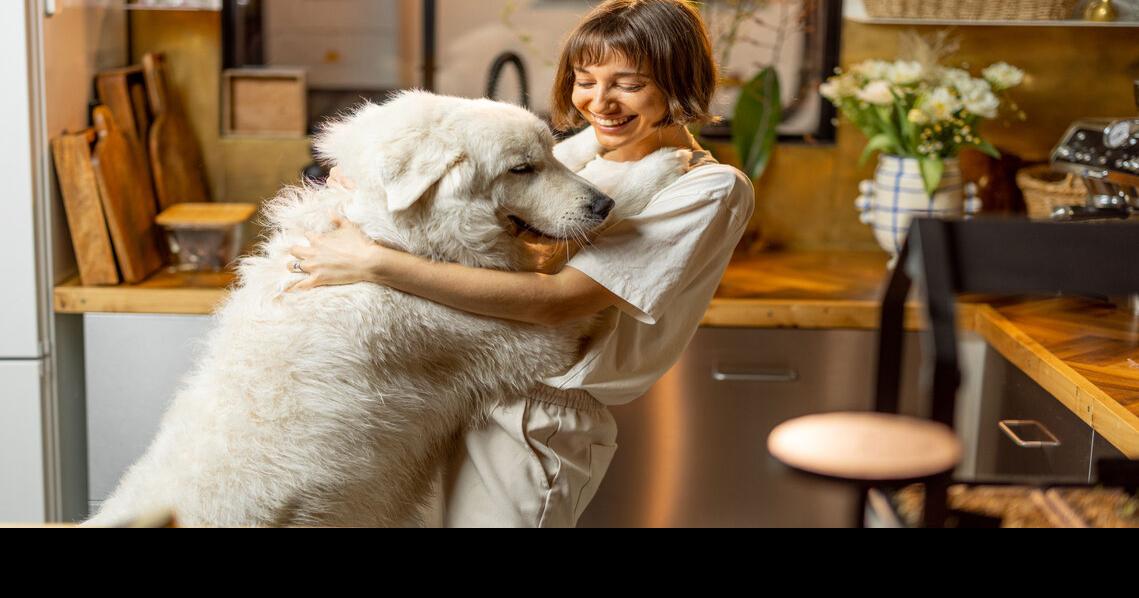 Fur-Friendly Dance Moves: Unleashing the Joy in Dancing with Your Dog | Pets | whiskers101.com