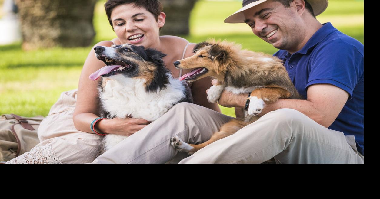 The Great Uniters: How Pets Foster Connections and Bring People ...