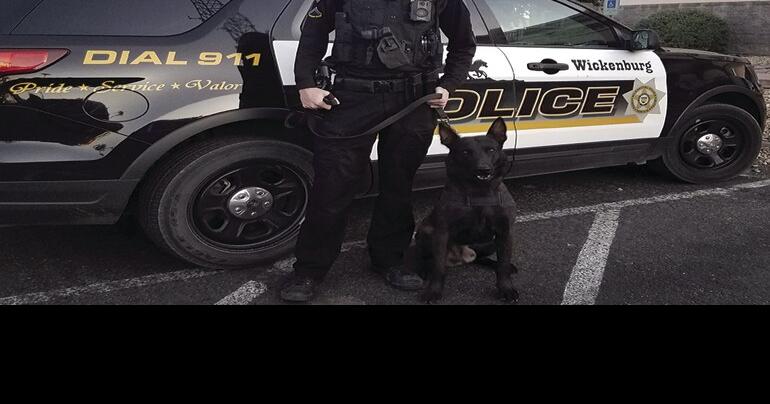 Wickenburg Police Department K9 Officer Justin Lemon | Business News ...
