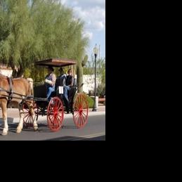 Wagon rides available from Lazy D Rockin' P Ranch | News ...