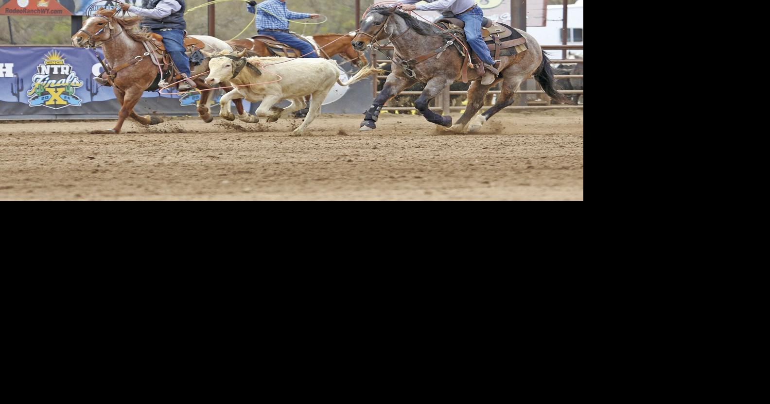 NTR Finals concludes March 16 | Roping & Riding | wickenburgsun.com