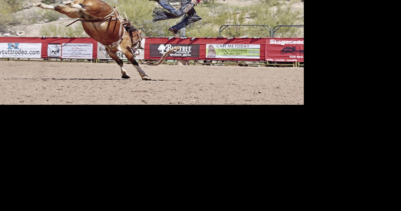 Cole Hoffman on Wolverine | Roping & Riding | wickenburgsun.com