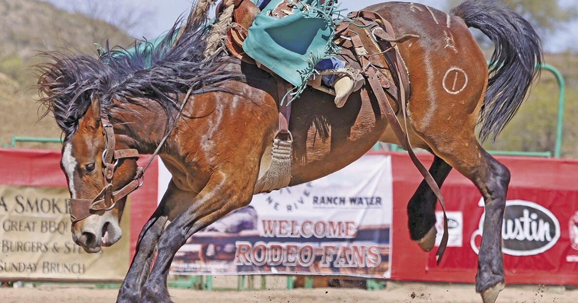 Jacob Phillips on Two Pence | Roping & Riding | wickenburgsun.com