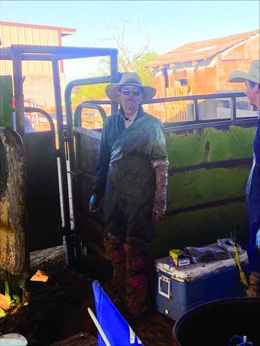 Renowned veterinarian Dr. Lytle dies at 76 | Veterinary Science ...