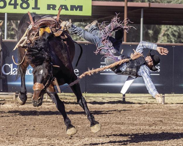 Arizona High School Rodeo Association | Roping & Riding | wickenburgsun.com