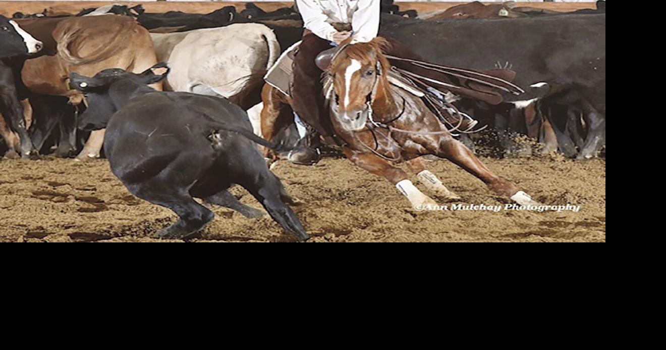 Michele Billingsley voted AZCHA Rookie of the Year | | wickenburgsun.com