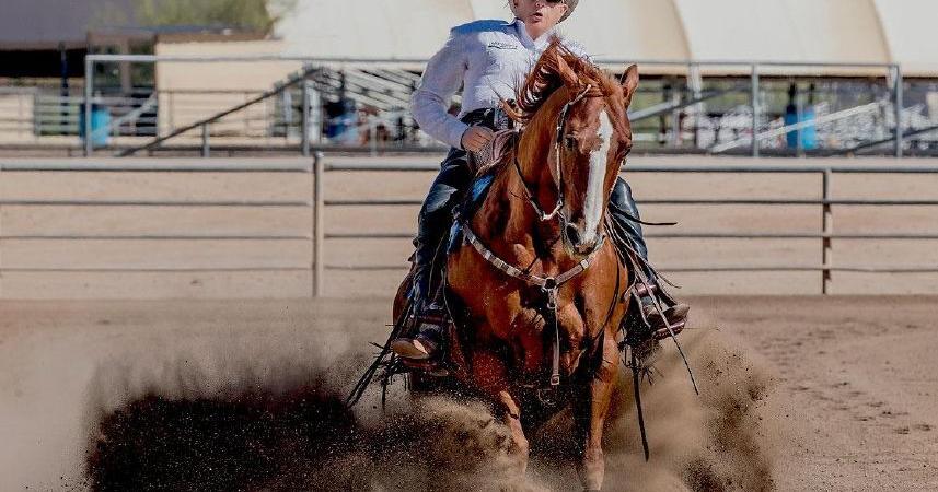 Bistodeau, Gangsters Reflection place seventh in world competition ...