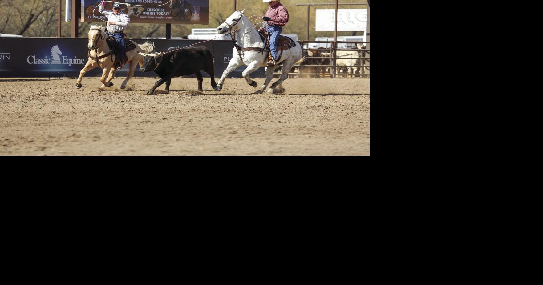 Wrangle that steer | News | wickenburgsun.com