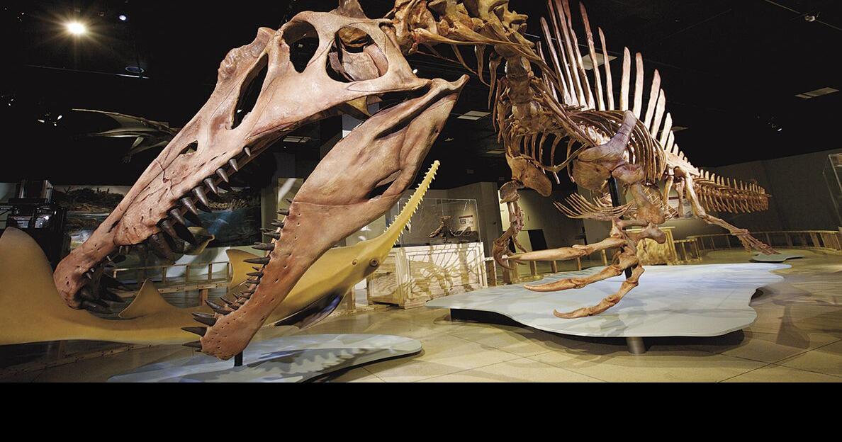 New Dinosaur Discoveries Explained at Nat Geo Live Event | Arts ...