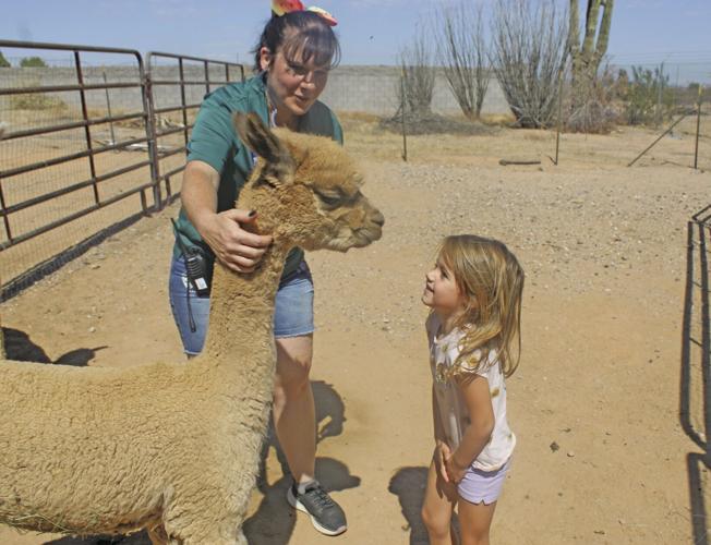 Photos of the year | Around Town | wickenburgsun.com