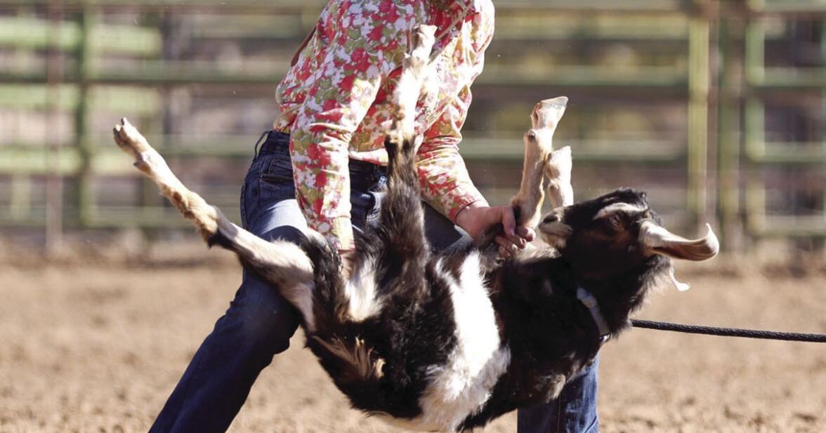 Little Britches Rodeo comes to town | Roping & Riding | wickenburgsun.com