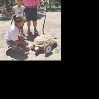 Stumpy the Tortoise to visit Hassayampa River Preserve | Around Town ...