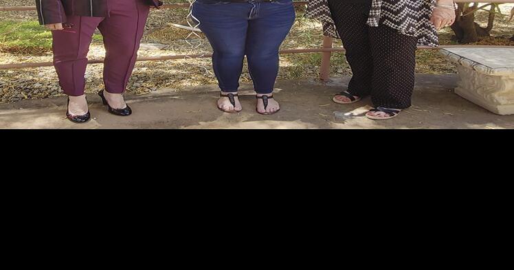 Scholarships Awarded by Wickenburg Community Hospital Foundation ...