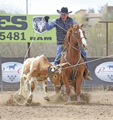 Bring home the bacon | Roping & Riding | wickenburgsun.com