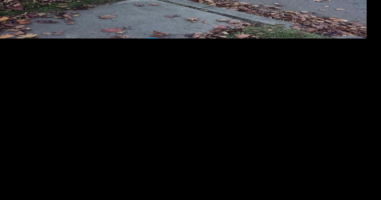 People Displaced After Multi-Family House Fire on Beethoven Street ...