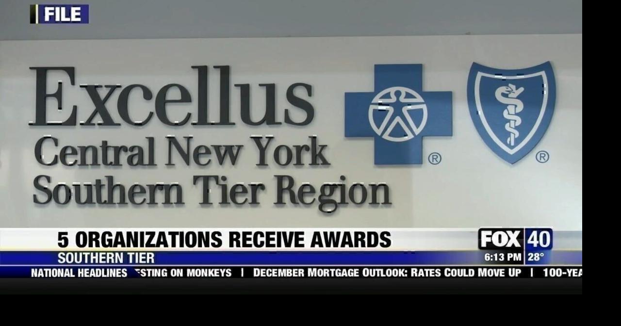 Excellus BCBS Awards 2025 Health Equity Innovation Grants to 22 ...