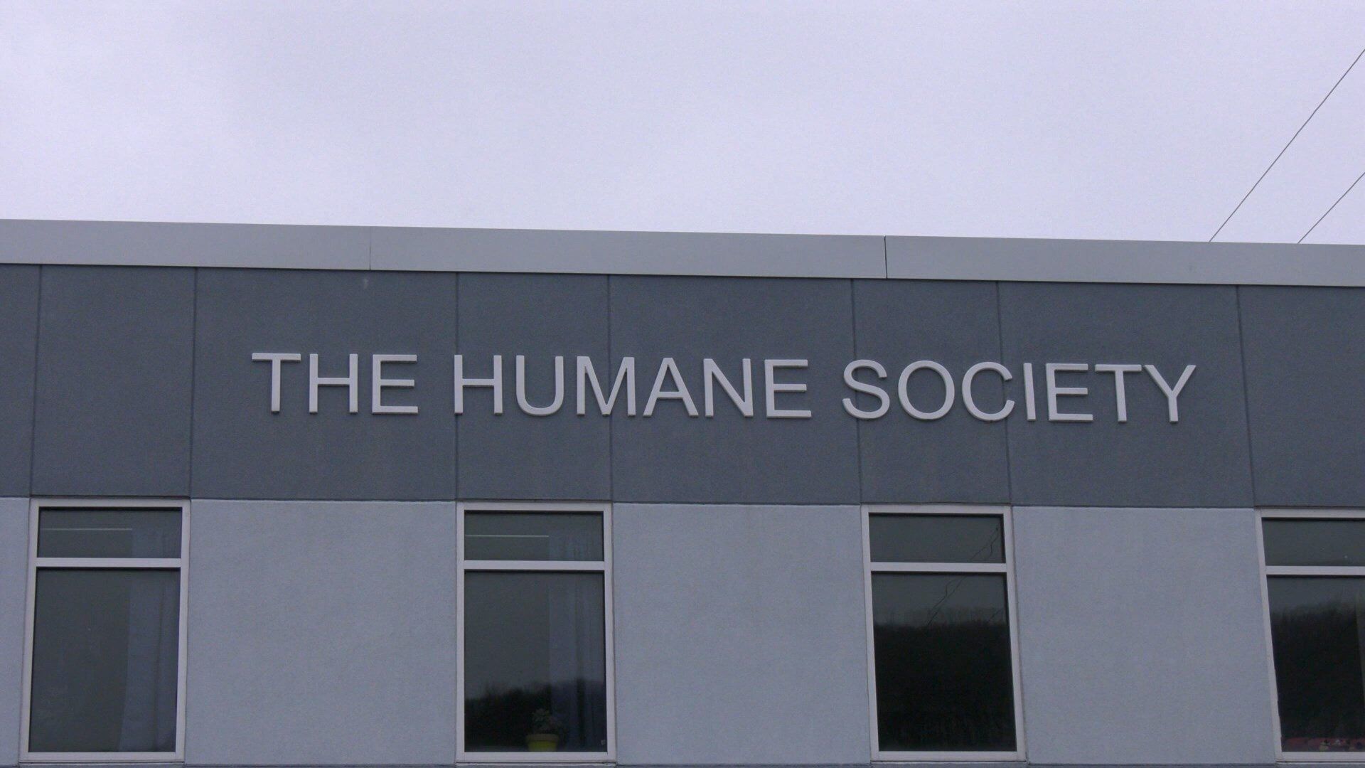 Broome County Humane Society Plans to Honor Late Pets With Evening of ...