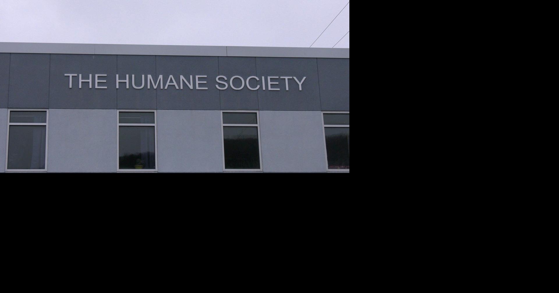 Broome County Humane Society Plans to Honor Late Pets With Evening of ...
